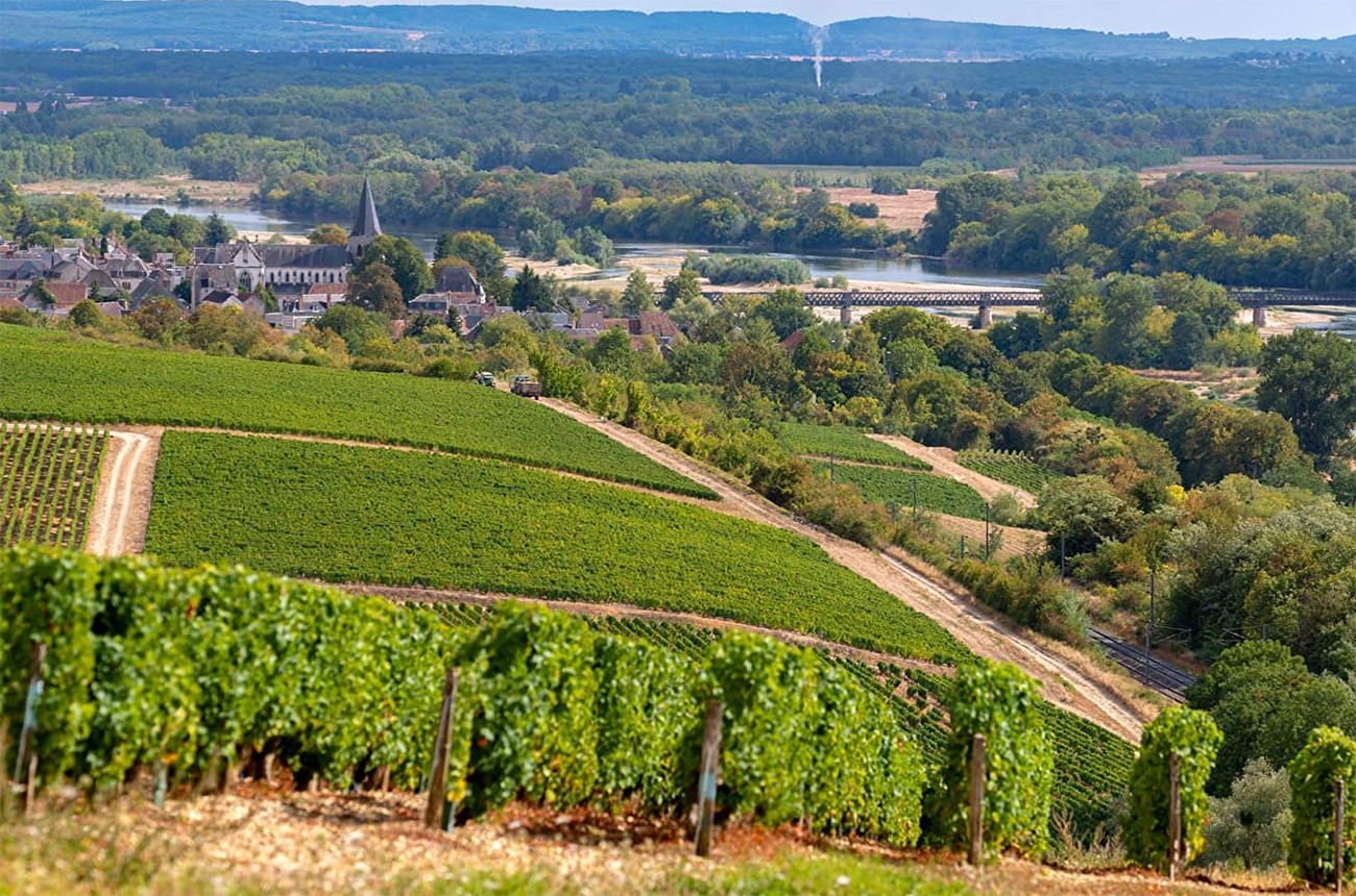 Burgundy wine investment: Buyers showing patience in quiet year - Decanter