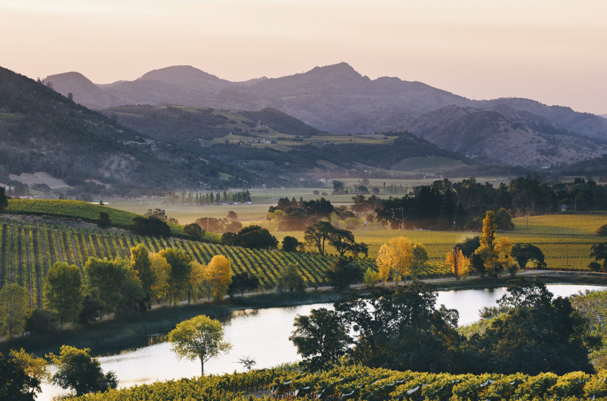 Rutherford 2020: The top Cabernets from this Napa AVA - Decanter