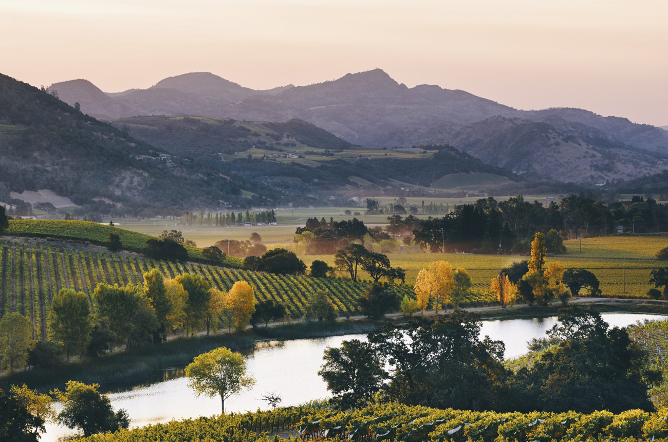 Rutherford 2020: The top Cabernets from this Napa AVA - Decanter