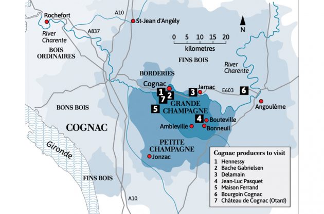 Cognac for wine lovers - Decanter