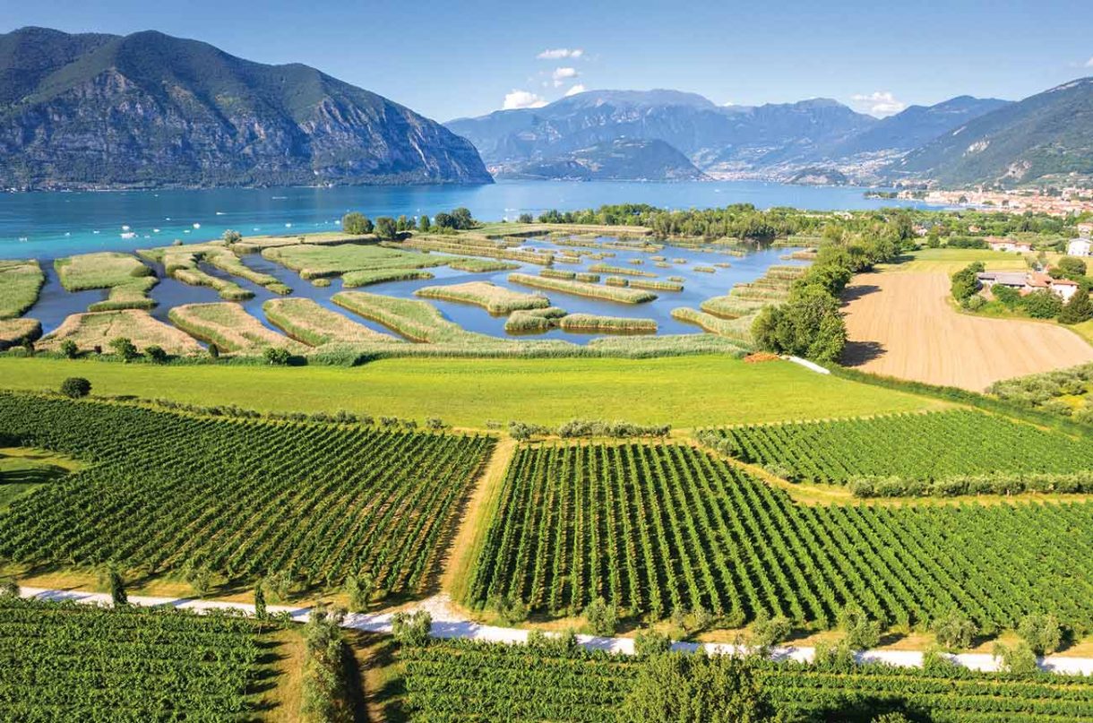 Expert's choice: Franciacorta - Decanter