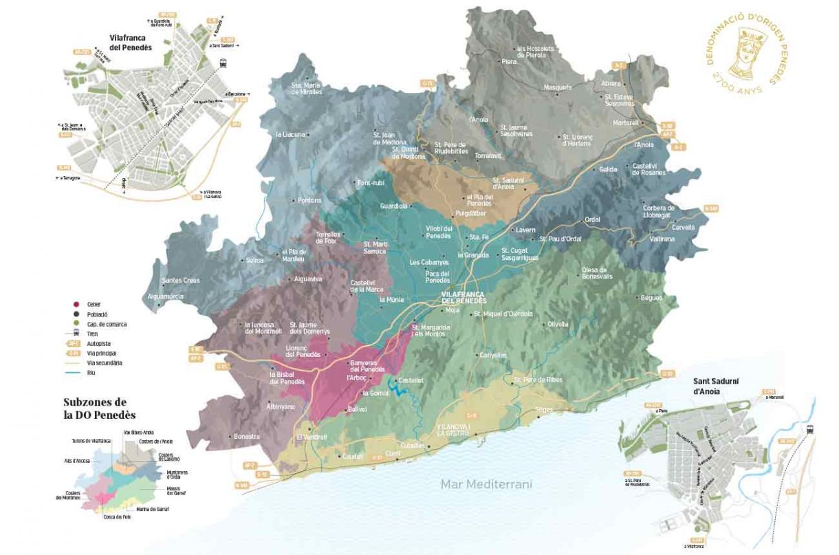 DO Penedès - A story of ancestral modernity - Decanter