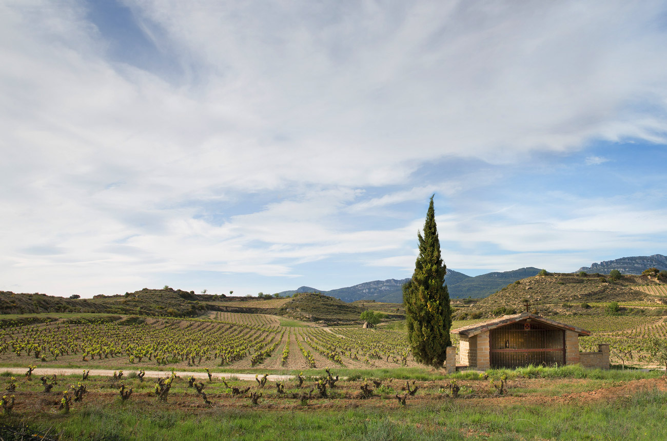 Izadi: The authentic – and unexpected – side of Rioja - Decanter