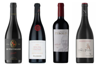 Award-winning wines to celebrate International Pinotage Day - Decanter