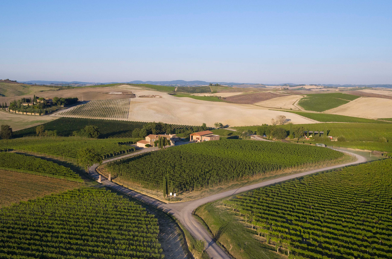 Ridolfi – Bringing the finest side of Montalcino to the world - Decanter