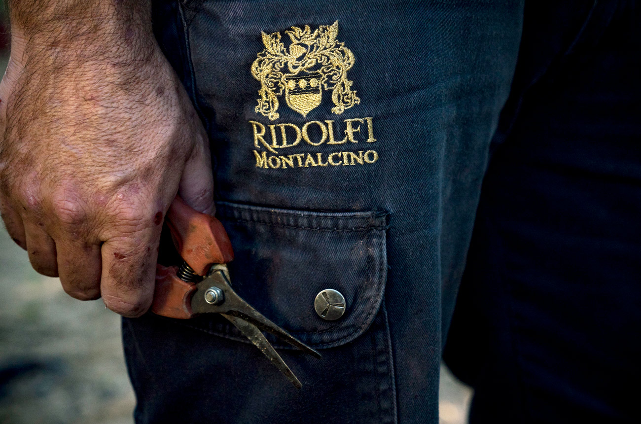 Ridolfi – Bringing the finest side of Montalcino to the world - Decanter