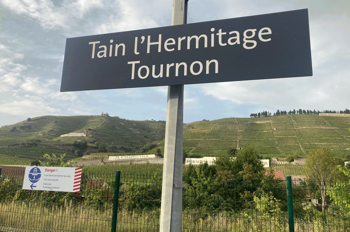 Rhône 2022 en primeur diary: The north - Decanter
