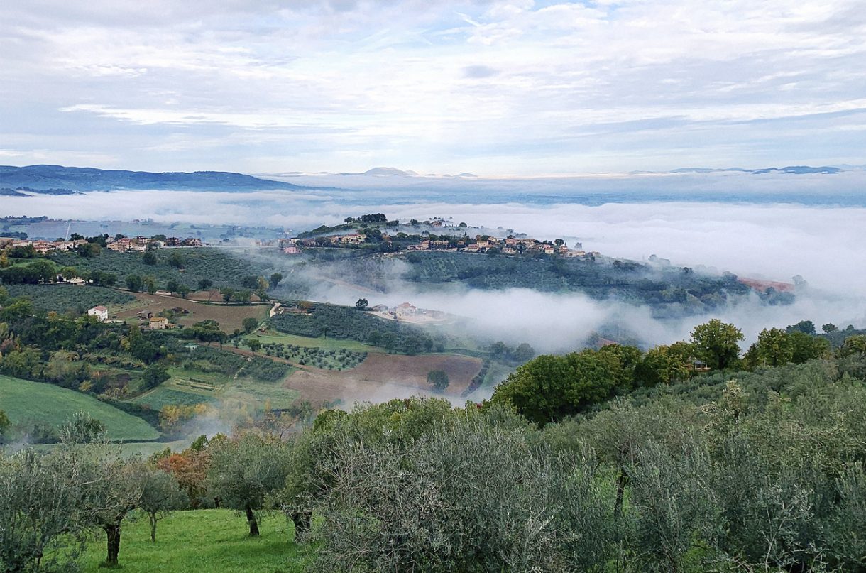 Umbria - Diversity and character - Decanter
