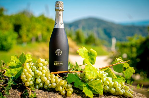 Val d'Oca - A pioneering Prosecco Superiore cooperative - Decanter