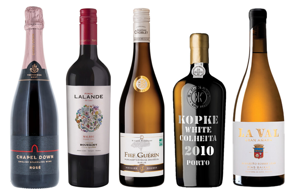 DWWA Shopper's Guide: Award-winning wines from Waitrose - Decanter