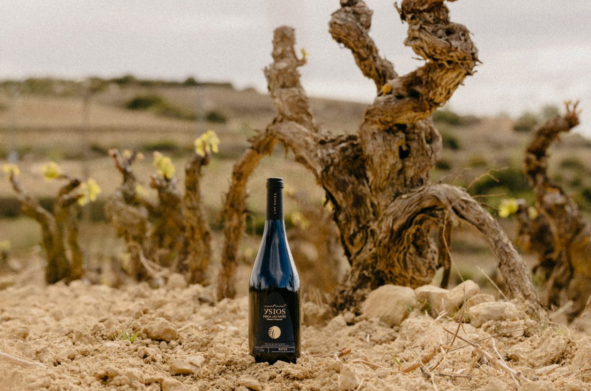 Ysios Finca Las Naves - A living legend - Decanter