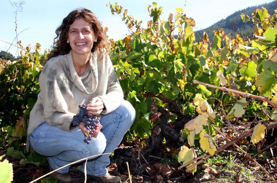 Chile's Viñedos Familia Chadwick has new technical director - Decanter