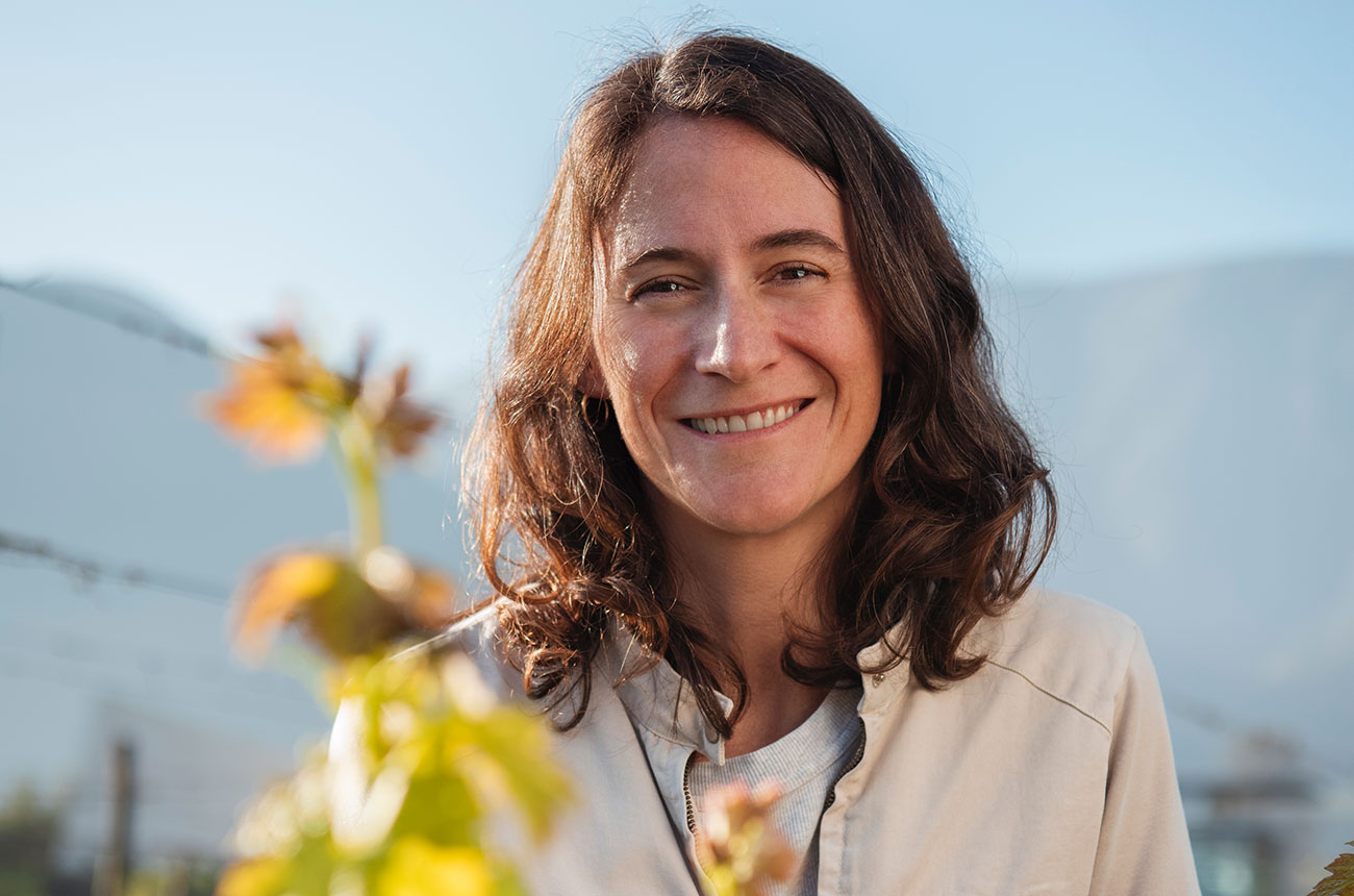 Chile's Viñedos Familia Chadwick has new technical director - Decanter