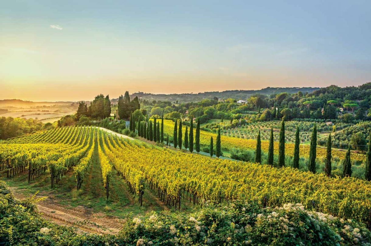 The lesser-known Tuscany: 12 hidden gems to discover - Decanter
