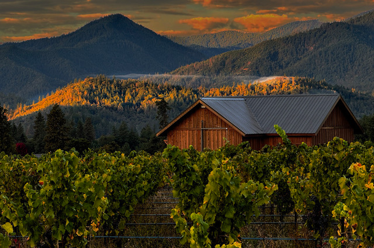 Southern Oregon 2021: Vintage report - Decanter