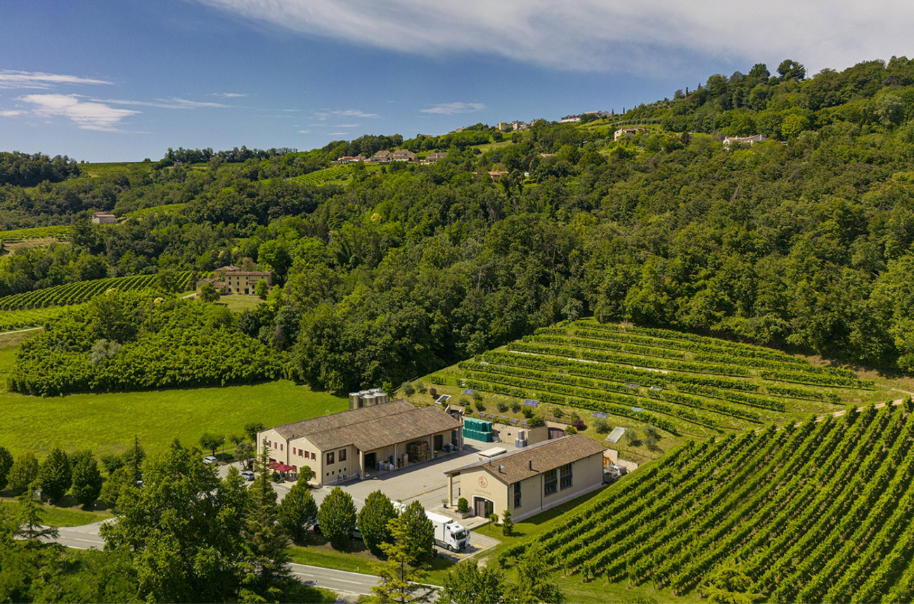 Le Manzane – A multi-generation winery with heart - Decanter