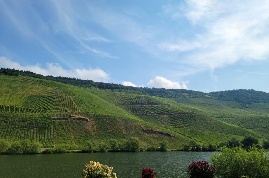The Middle Mosel for wine lovers - Decanter