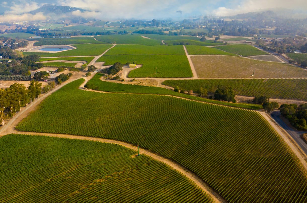 Paul Hobbs unveils the fresher side of Napa - Decanter