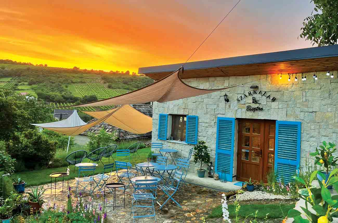 Tokaj - The golden aristocrat of wine regions - Decanter