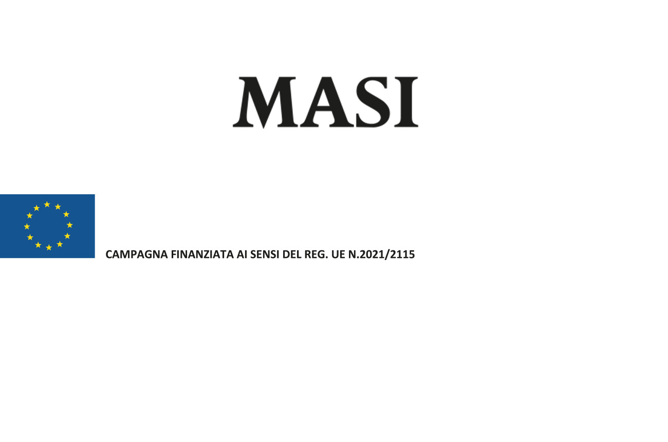 Masi’s Campofiorin - The evolution of a groundbreaking wine - Decanter