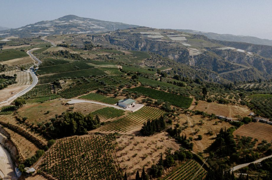 Tselepos – Leading Greece’s wine renaissance - Decanter