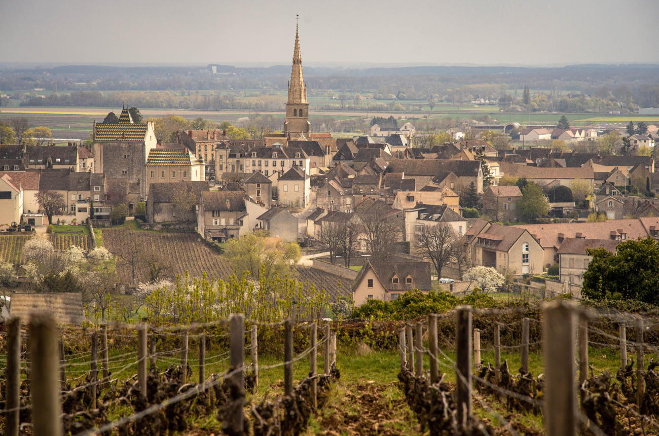 Top Meursault 2022 wines en primeur - Decanter