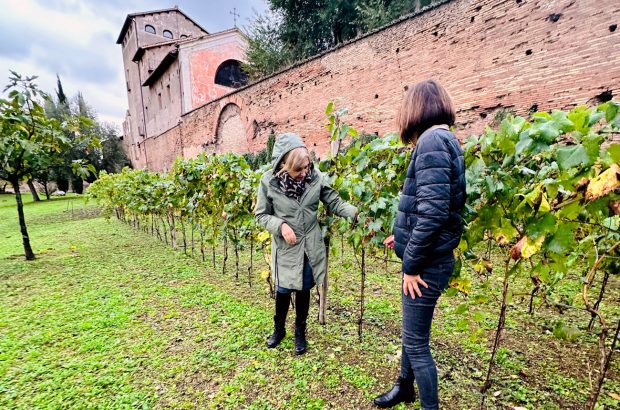 Why is a vineyard growing on Rome's Palatine Hill? - Decanter