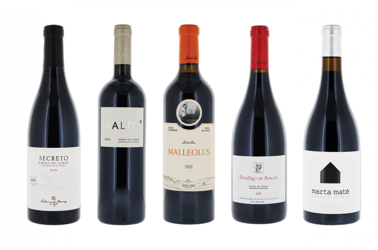 Ribera del Duero: Panel tasting results - Decanter
