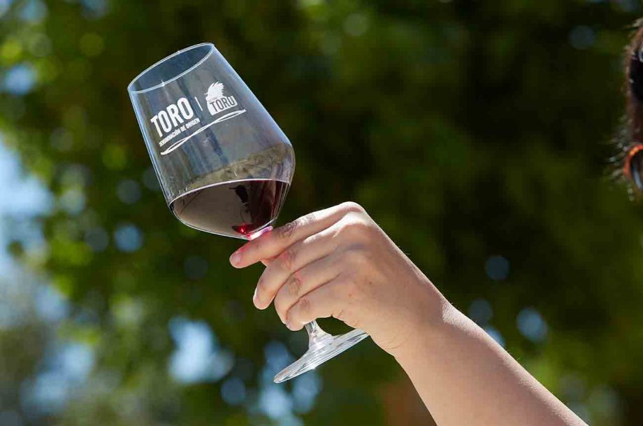 Toro, a historical DO for the future - Decanter