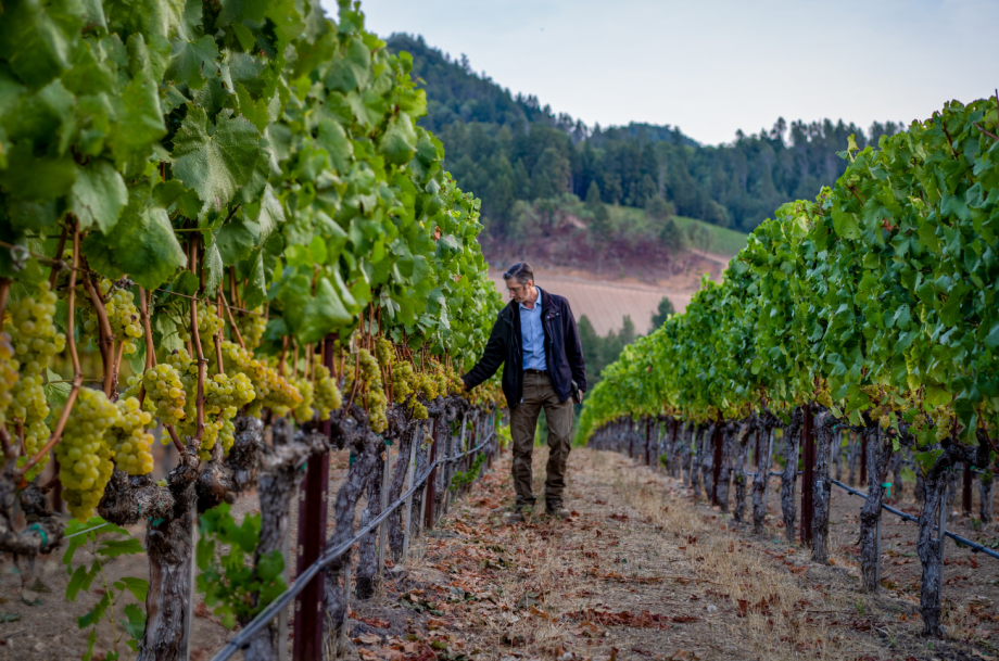 Join Decanter for an extraordinary retrospective tasting with Peter ...