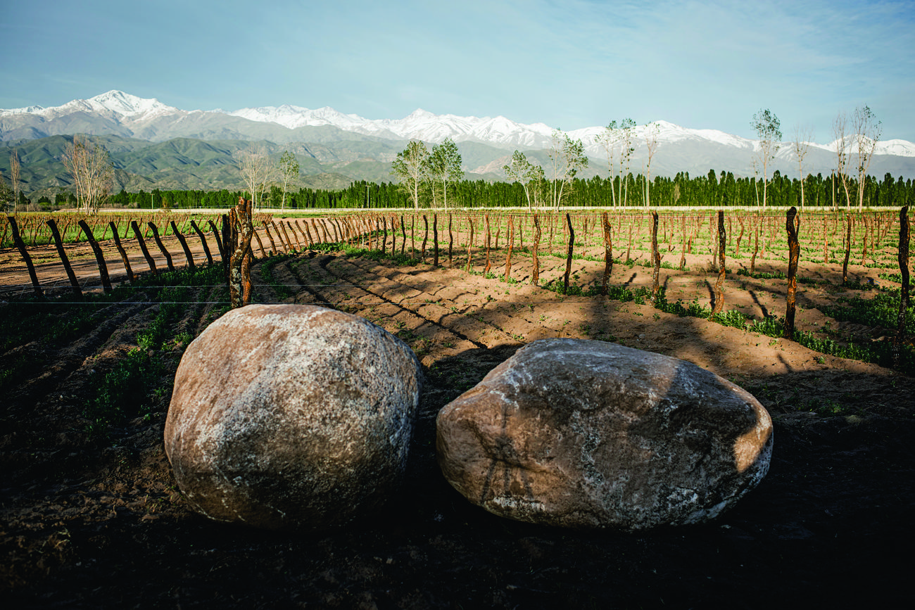 Bodegas Caro: An interview with Saskia de Rothschild and Laura Catena ...