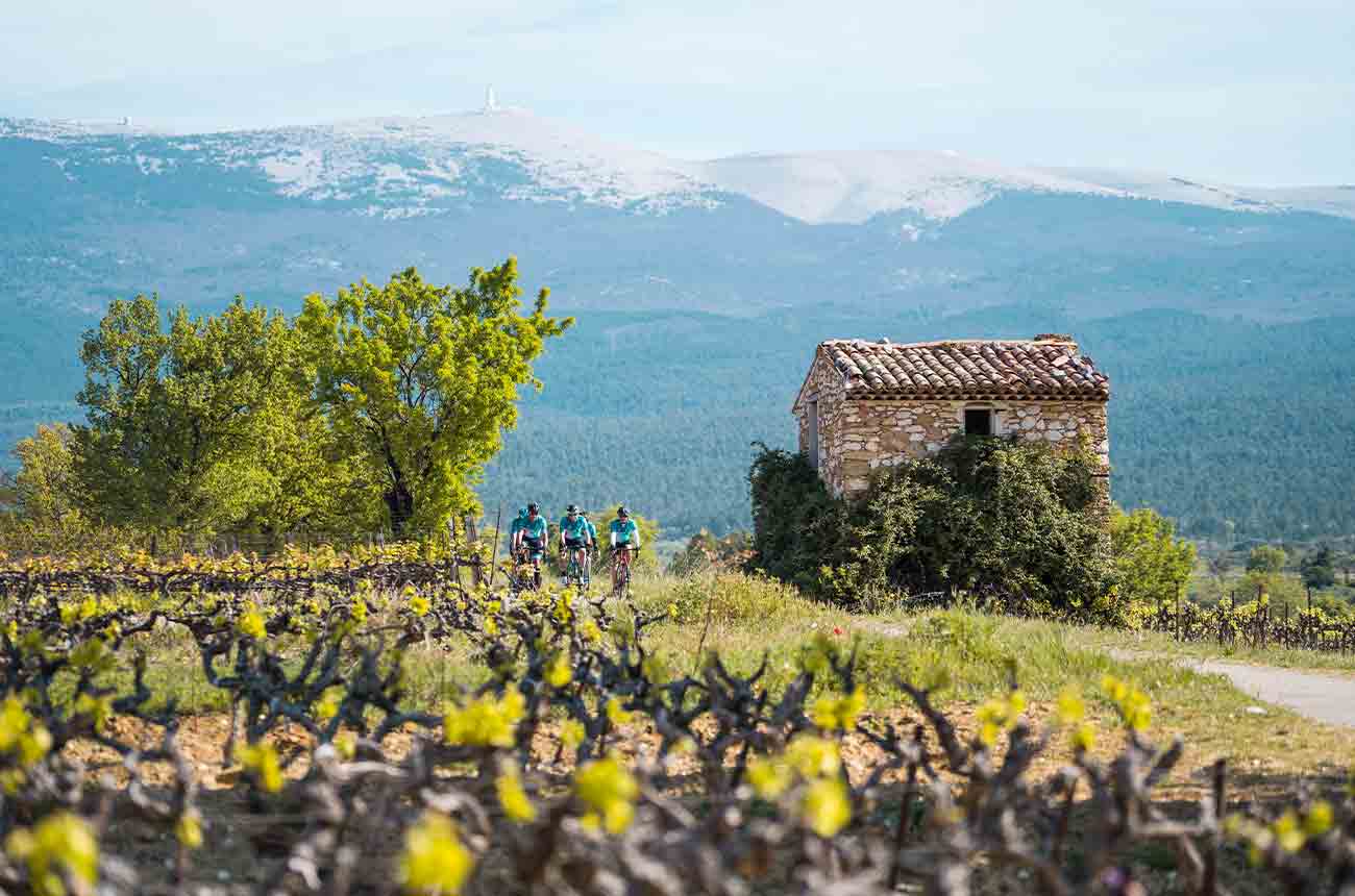Ventoux AOC - The rising star of the Rhône - Decanter