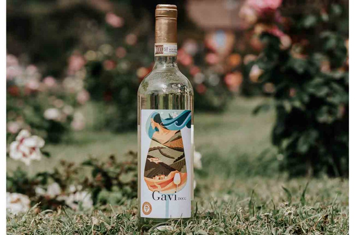 Gavi – Where ancient soils make for ageworthy white wines - Decanter