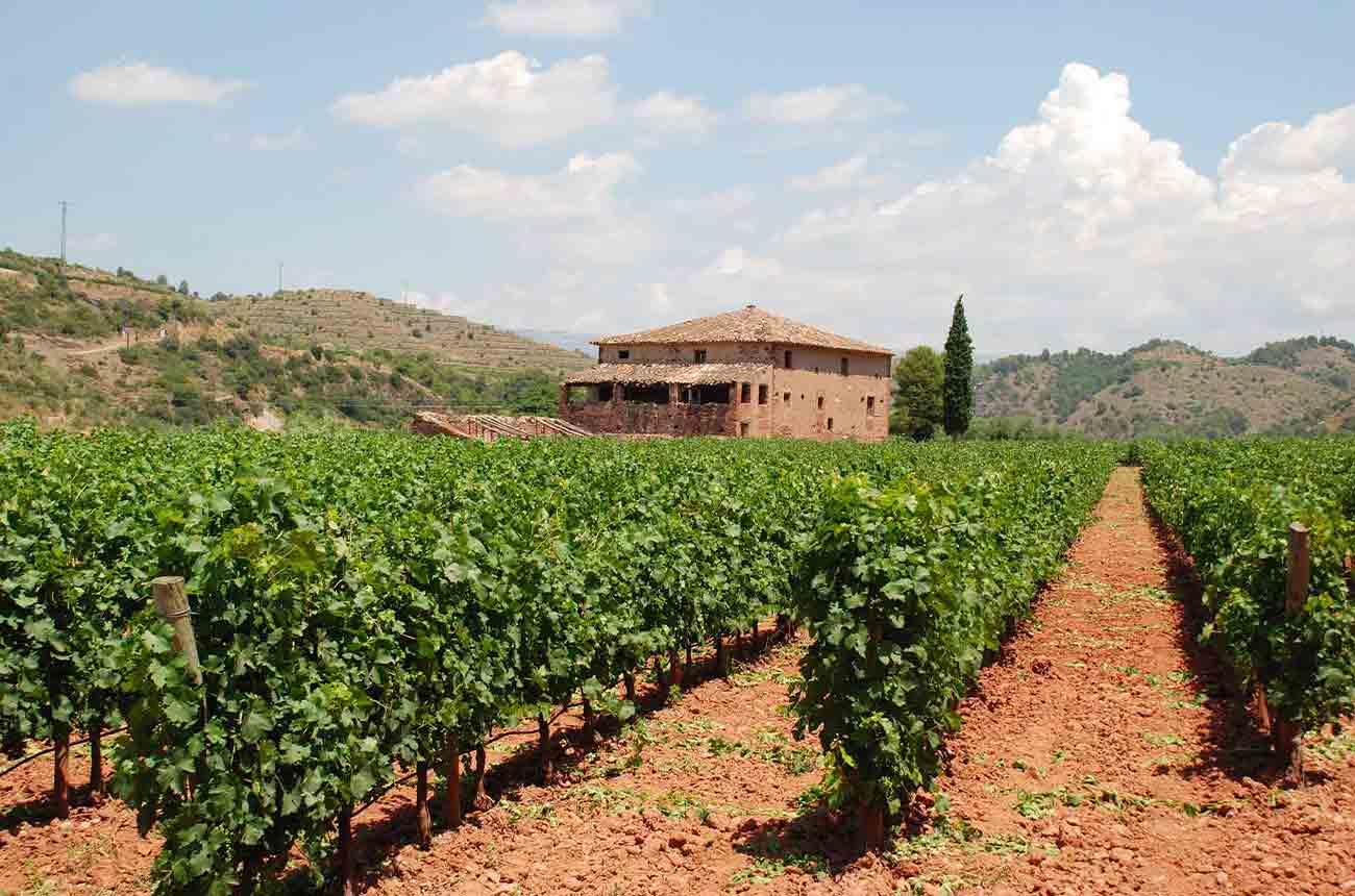 Casa Gran del Siurana: Discovering the essence of Priorat - Decanter