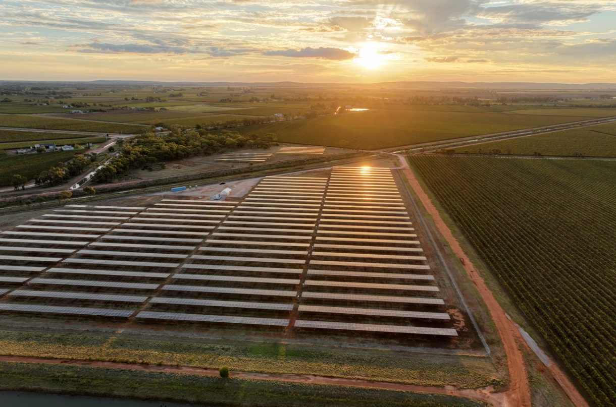 Yellow Tail producer unveils largest solar farm in the Australian ...