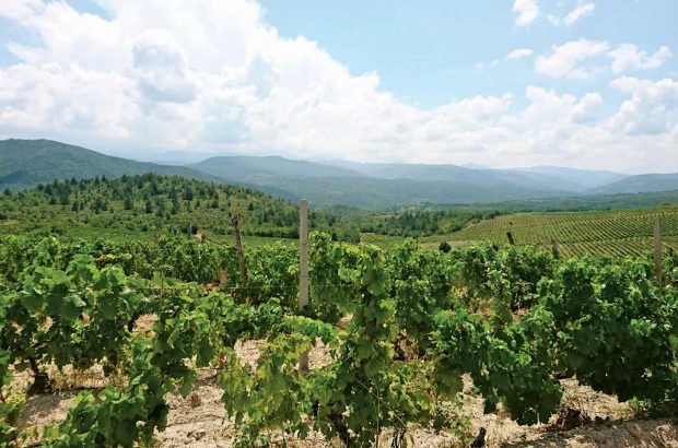 North Macedonia: A wine nation at the crossroads - Decanter