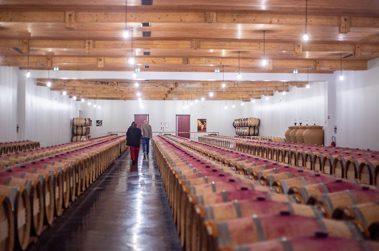 Bordeaux 2023: Our en primeur verdict and top-scoring wines - Decanter