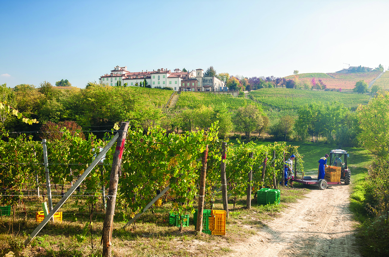 Barolo 2020: A 'ready to drink' vintage - Decanter