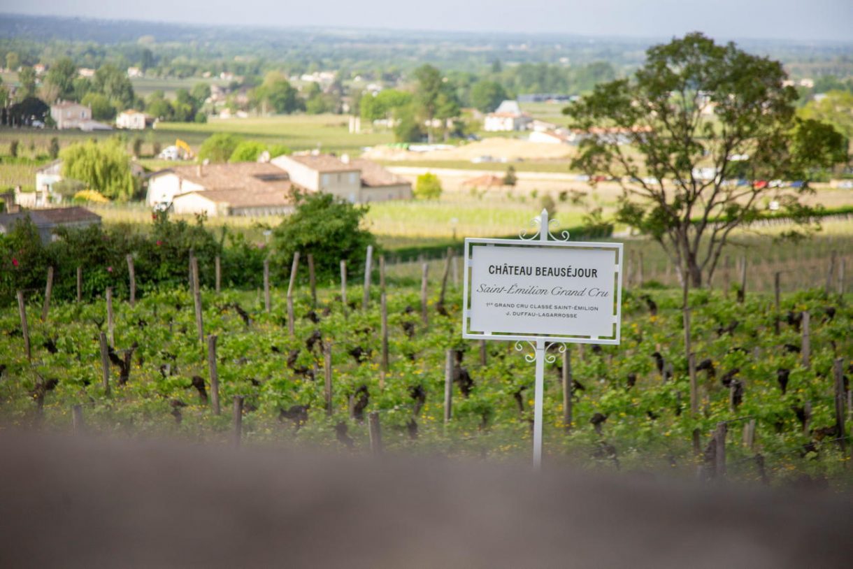 Best St-Emilion 2023 wines tasted en primeur - Decanter