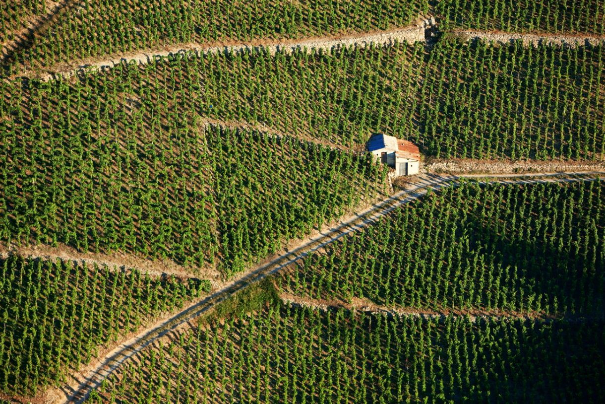 Walls: A vertical of a great Cornas cuvée - Decanter