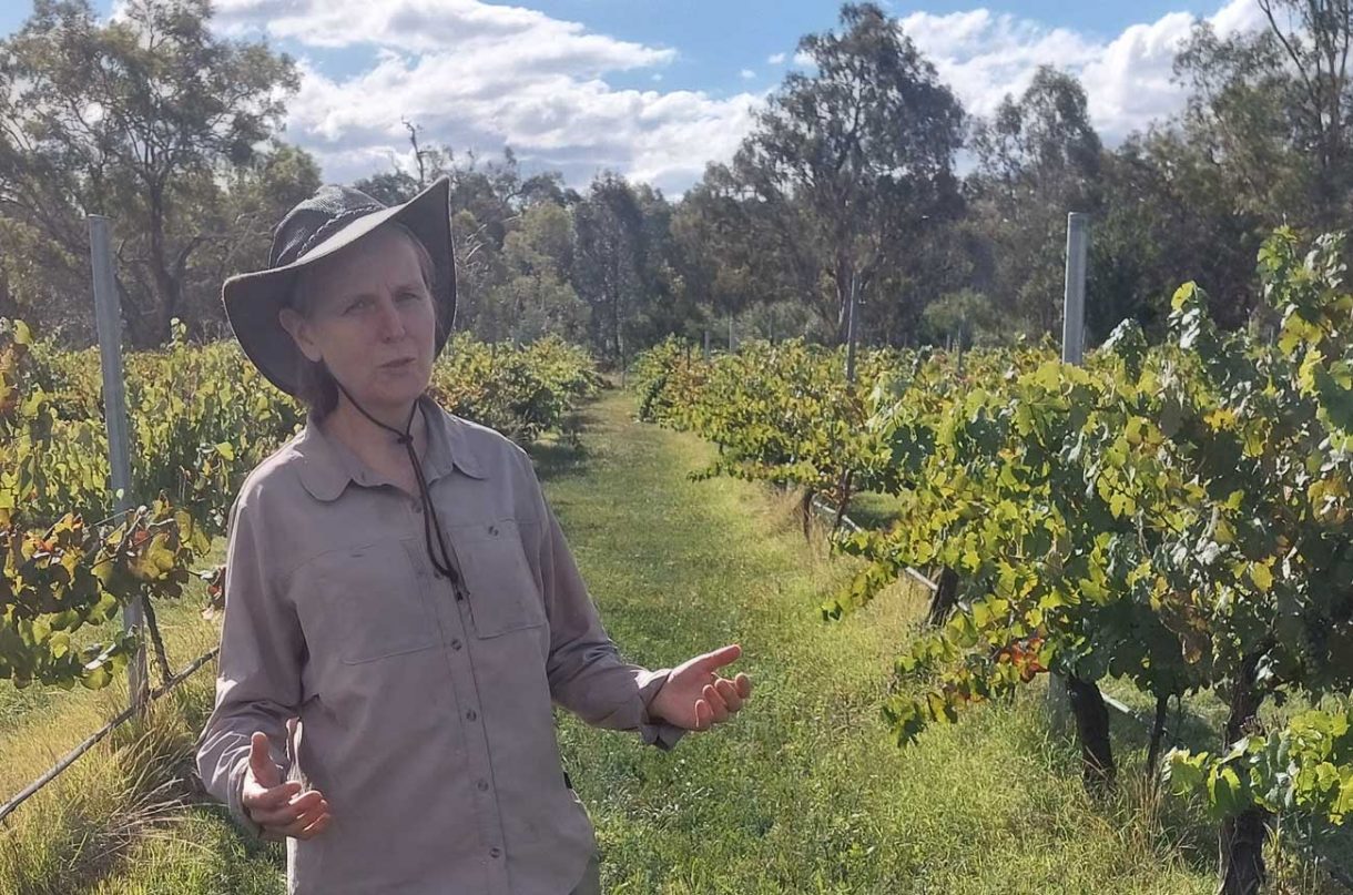 Regional profile: Celebrating Rutherglen's liquid gold - Decanter