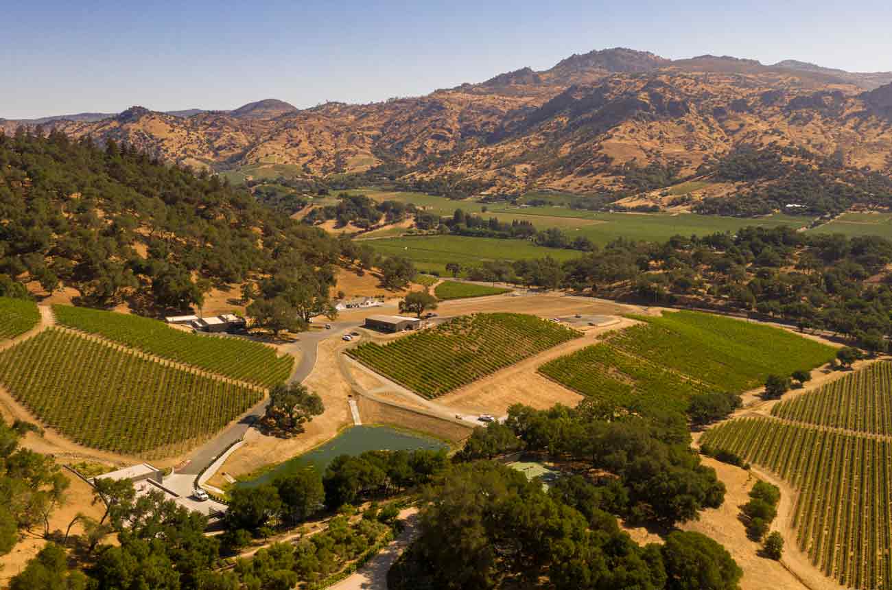 Realm Cellars and Napa Valley's last fairytale founding - Decanter
