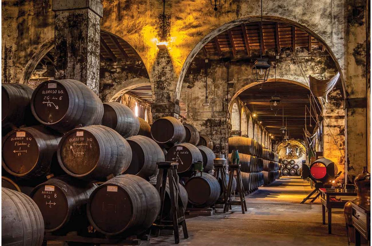 Exploring Sherry country - Decanter