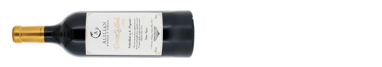 Investing in Spain: Top-scoring fine wines to enjoy and cellar - Decanter