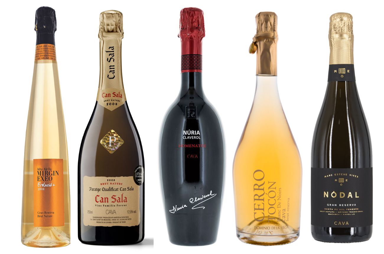 International Cava Day: 10 award-winning wines to try - Decanter