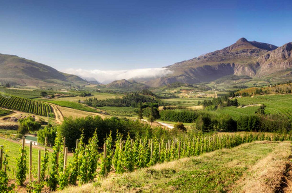 Best Cap Classique: Value picks - Decanter