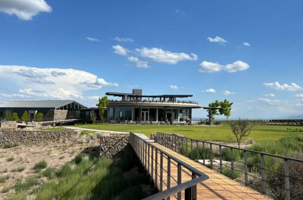 Huentala Wines: A key name for winemaking in Mendoza - Decanter