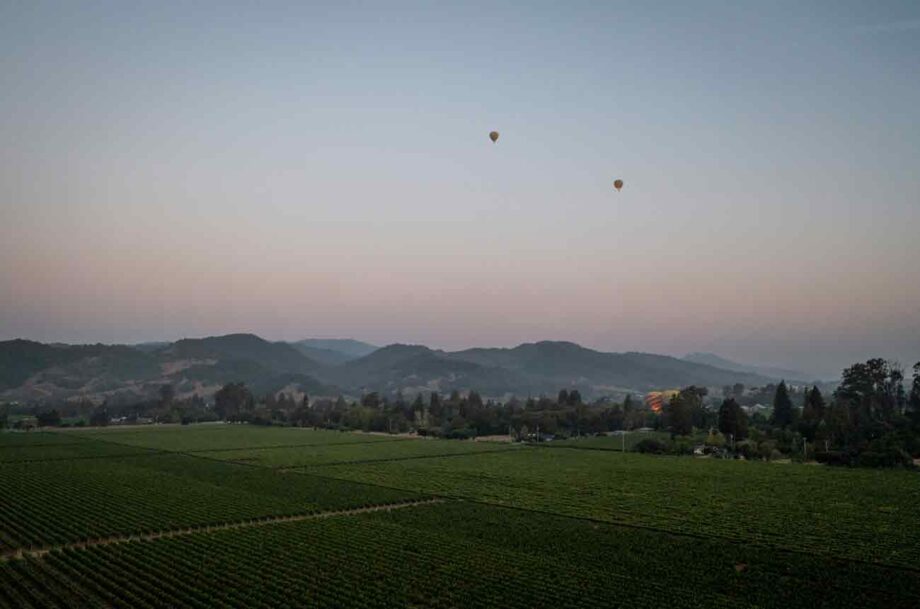 Napa Valley Cabernet 2021: Top wines from Oak Knoll - Decanter