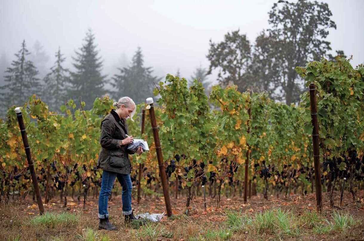 Editors' Picks - September 2024 - Decanter