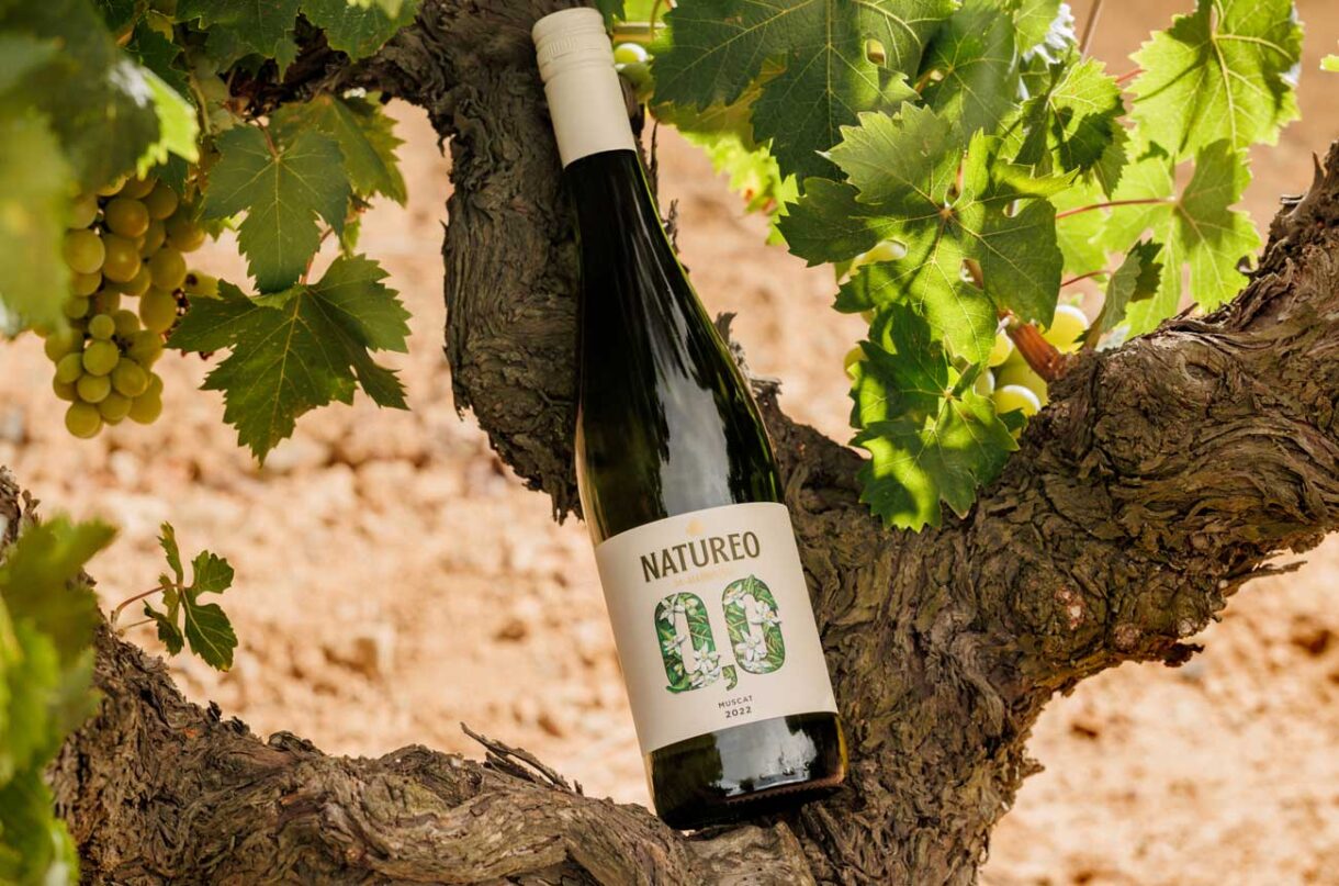 Alcohol-free wine: All you need to know - Decanter